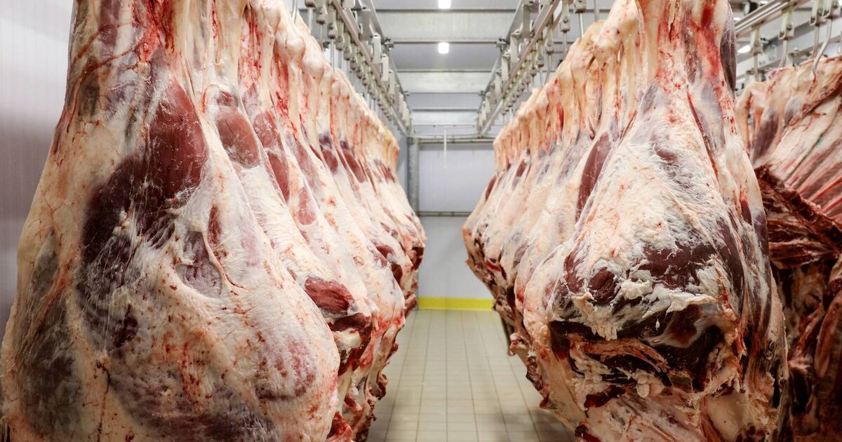 'Immense frustration' amongst farmers over 'hammered' beef prices