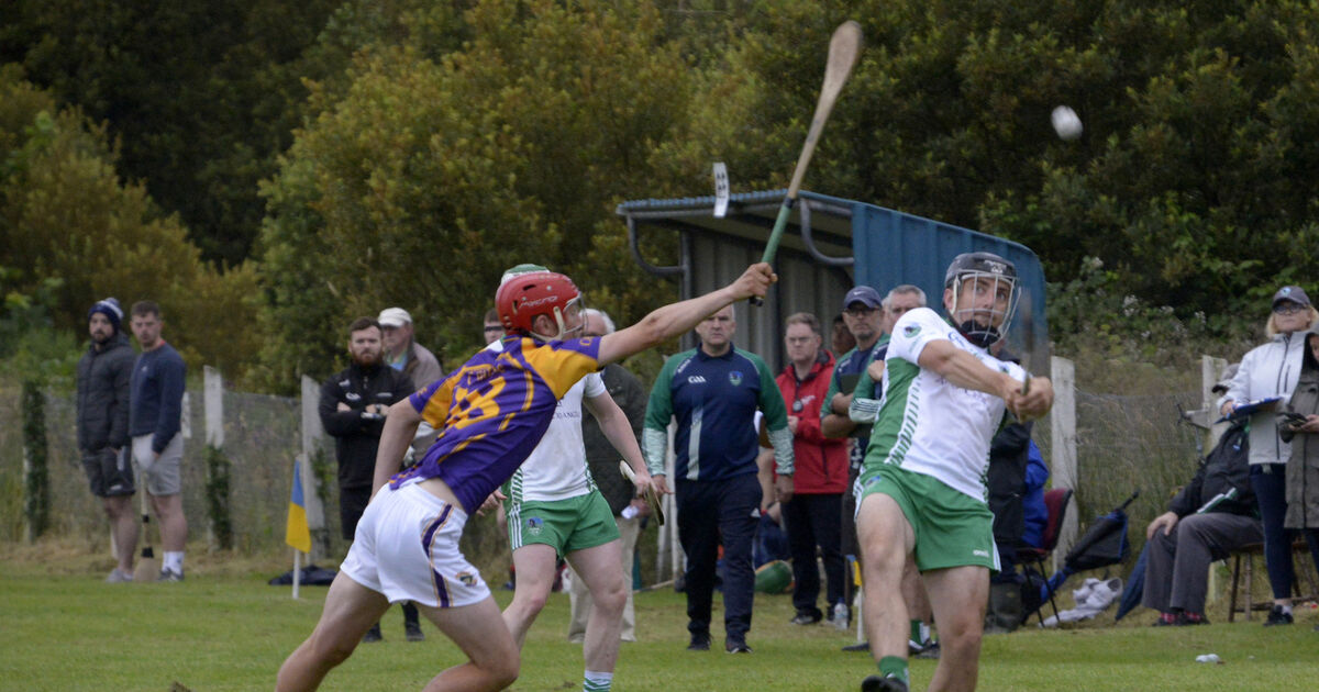 Muskerry ease into Divisions/Colleges final after Carbery victory