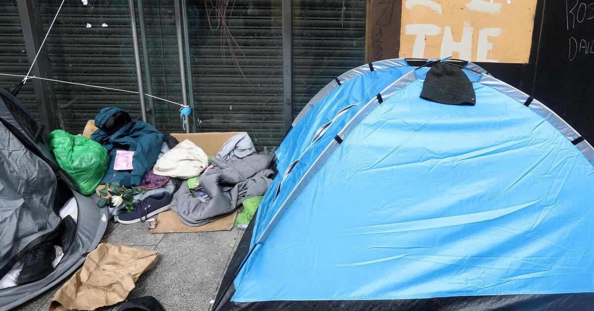 Quarter of Dublin charity's homeless beds used by workers on June night