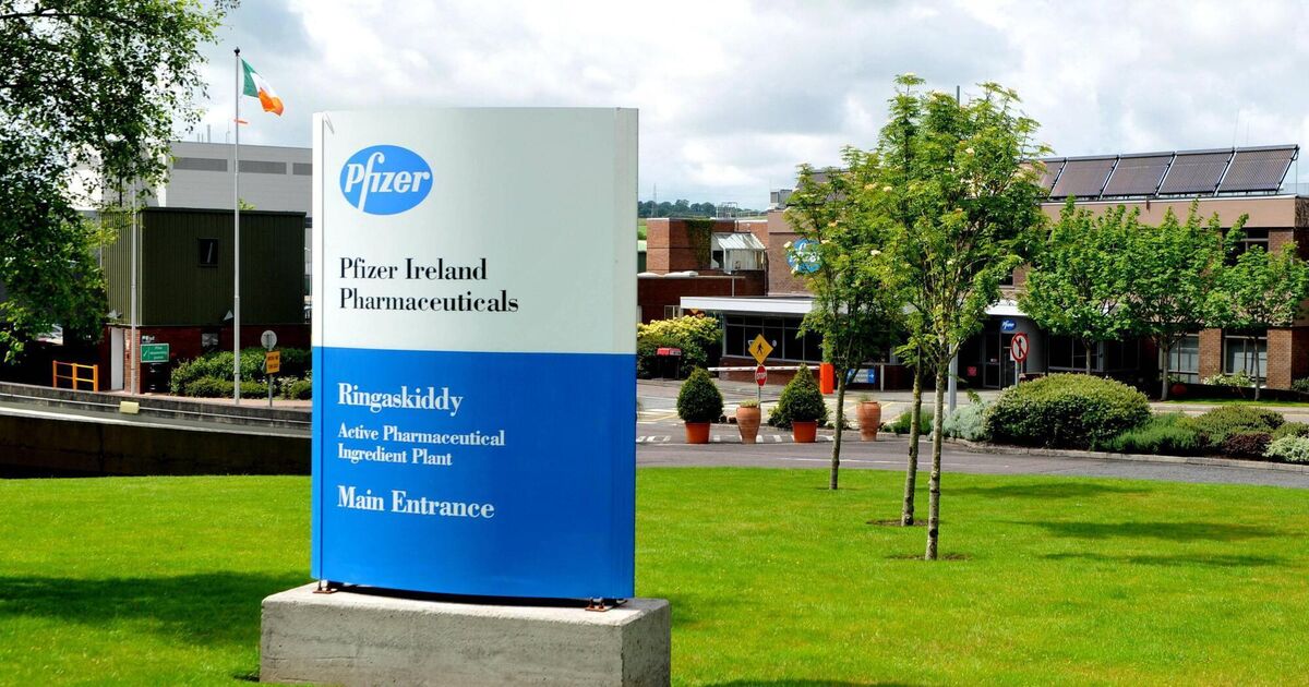 Pfizer's Irish plants to contribute to EU vaccine reserve for future ...