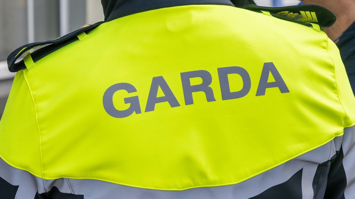 Limerick man admits to money laundering tens of thousands after major ...