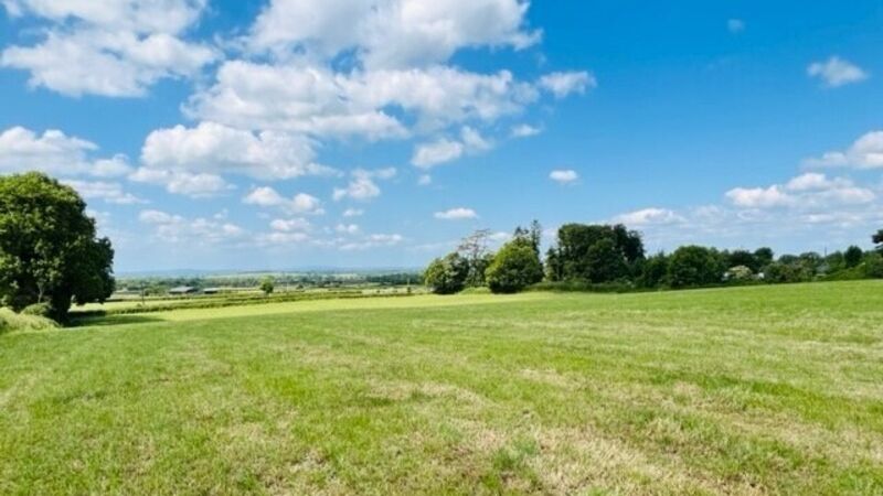 65-acre Clare farm going under the hammer in Ennis