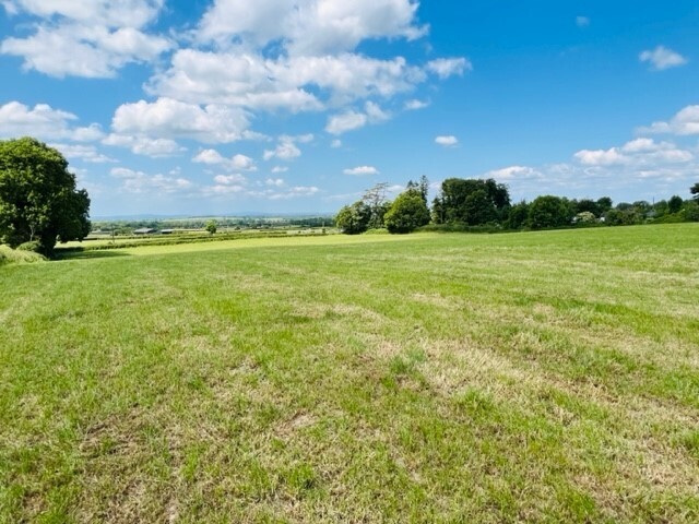65-acre Clare farm going under the hammer in Ennis