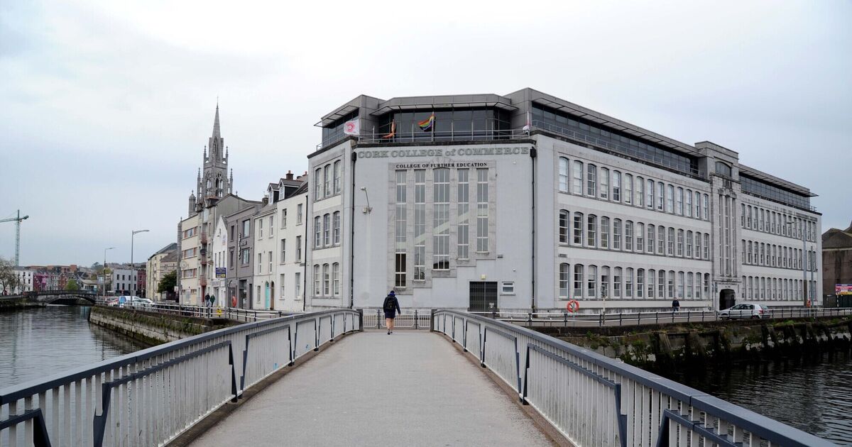 'I’ll do you, you dirty tramp': man told garda before trying to jump ...