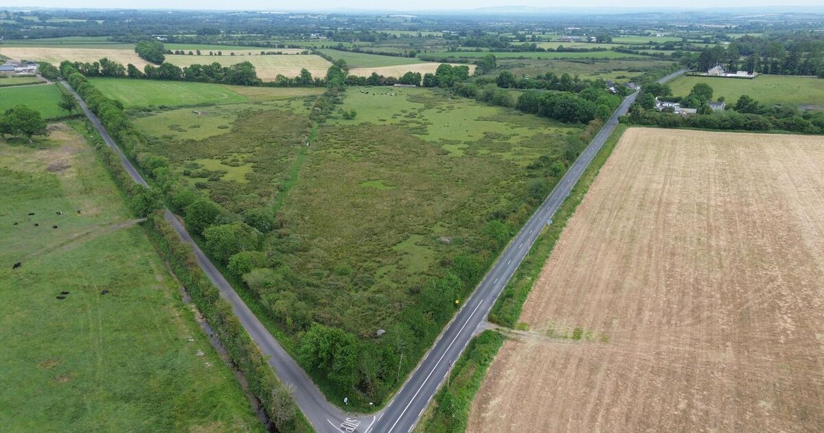 58-acre Laois farm for online auction presents tempting value