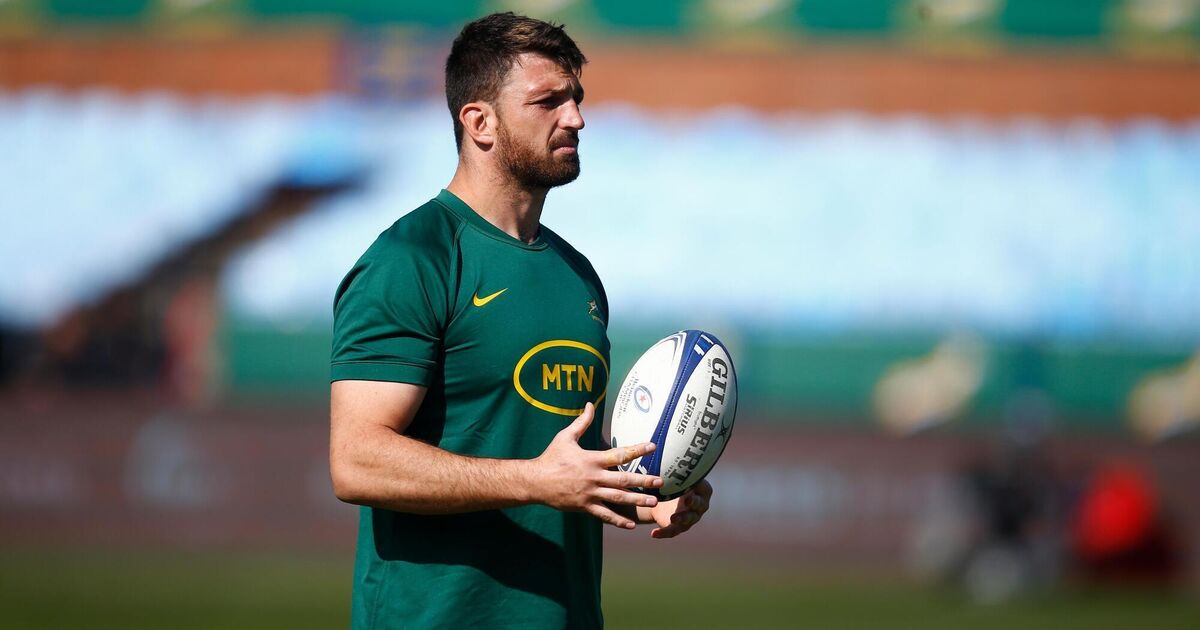 Kleyn and Springboks begin World Cup prep in shortened Rugby Championship