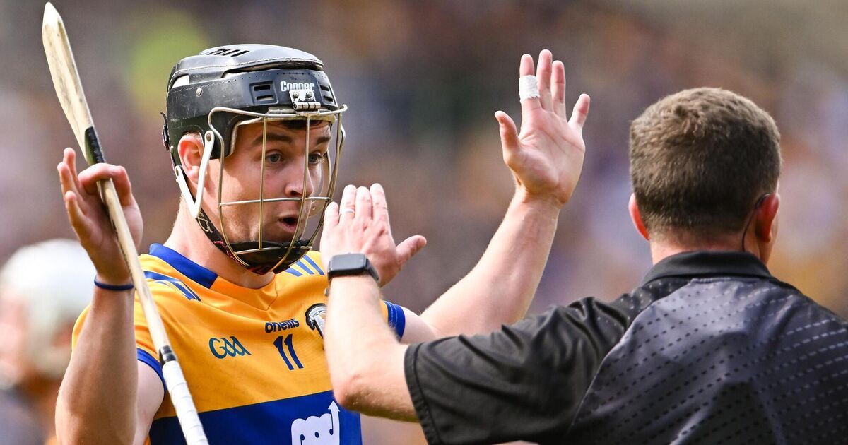 Brian Gavin: Clare had strong grounds for grievances with some of the ...