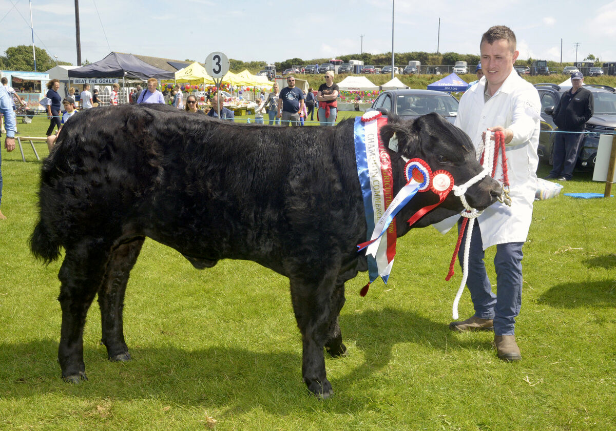 Pictures: Barryroe Agricultural Show