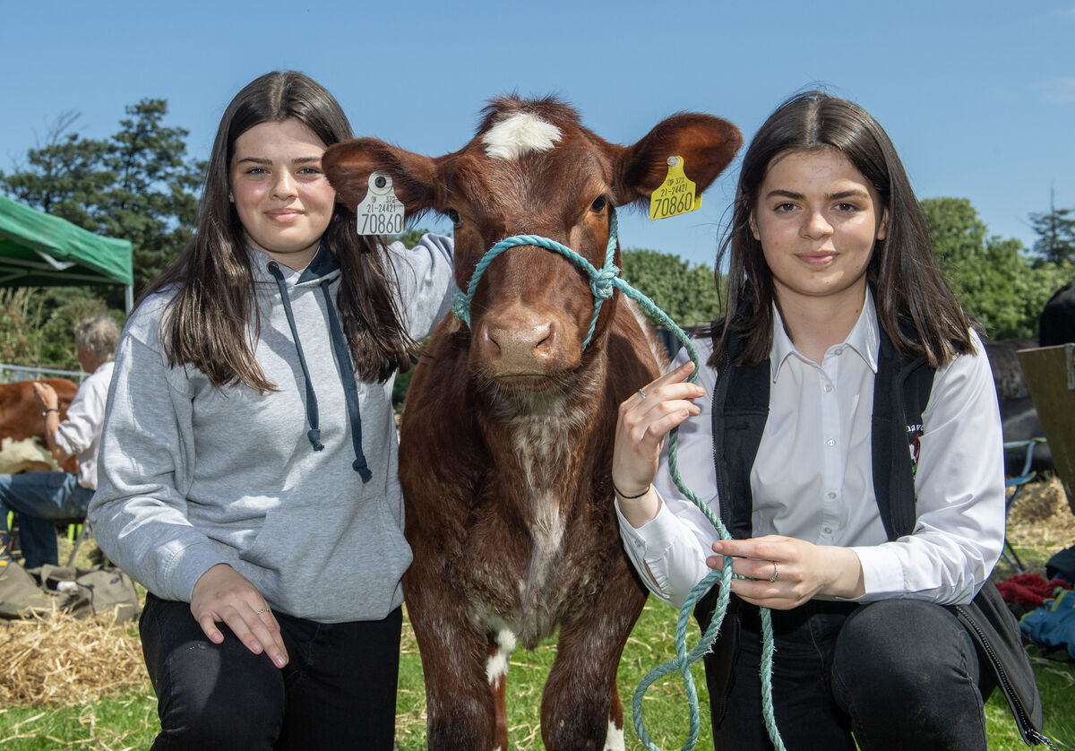 Pictures: Barryroe Agricultural Show