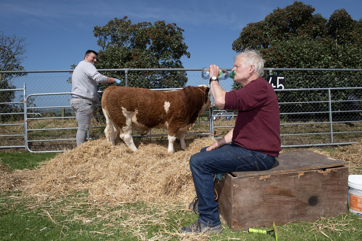 Pictures: Barryroe Agricultural Show