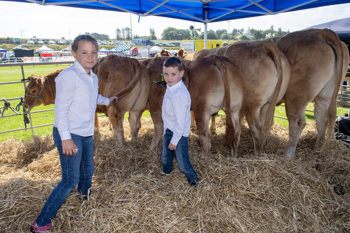 Pictures: Barryroe Agricultural Show