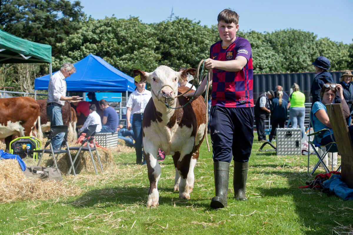 Pictures: Barryroe Agricultural Show