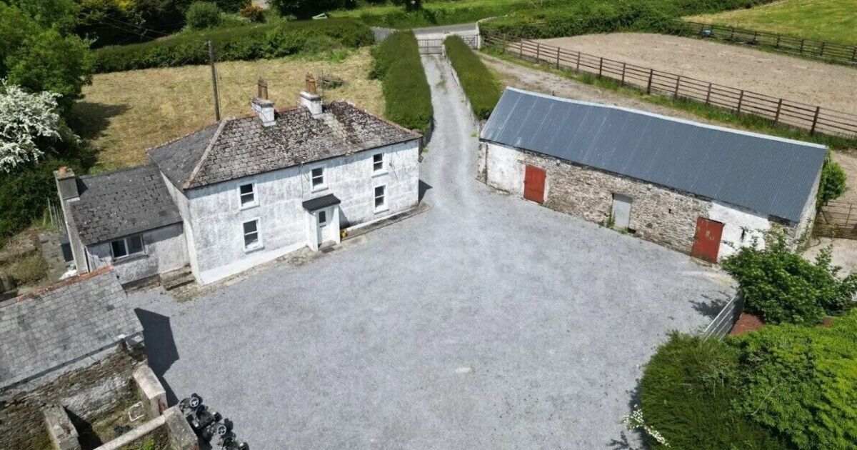 Compact stud farm in Kilkenny with €535k guide price