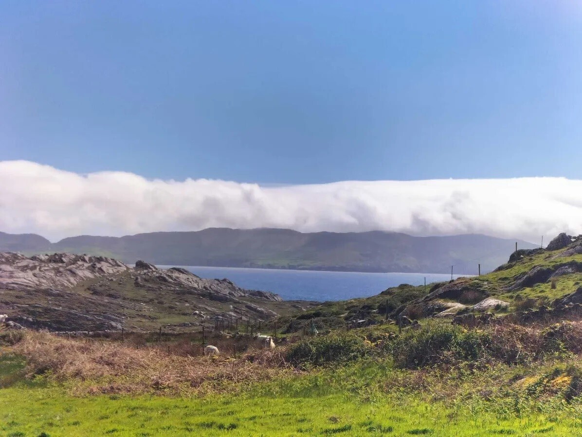 €4,800 an acre sought for West Cork hill farm with a view