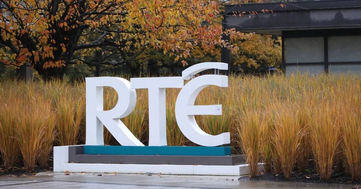 New financial controls at RTÉ and TG4 as broadcasters come under NewERA
