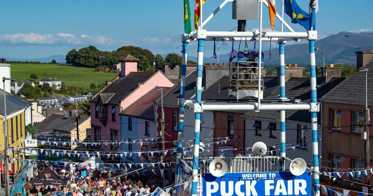 Puck Fair goat to spend less time on stand after 'unbelievable pressure ...