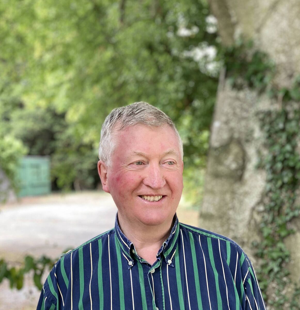 Is it a bird? Is it a plane? UFOs and non-human intelligence on earth