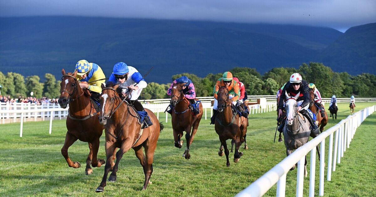 Landmark success for Kiely partnership as Liberated Light delivers at ...