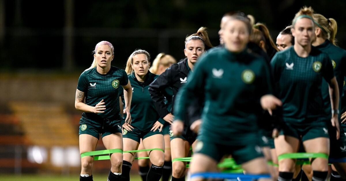 John Fallon: Ireland a stress magnet when it comes to World Cups