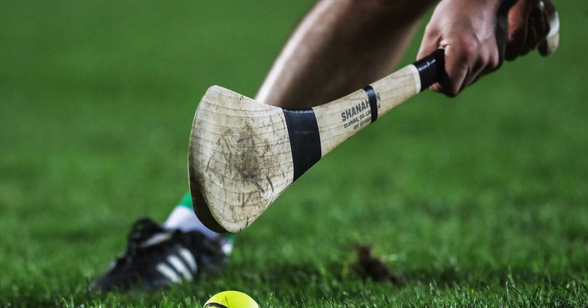 GAA teams up with Dublin university to create the hurley and sliotar of ...