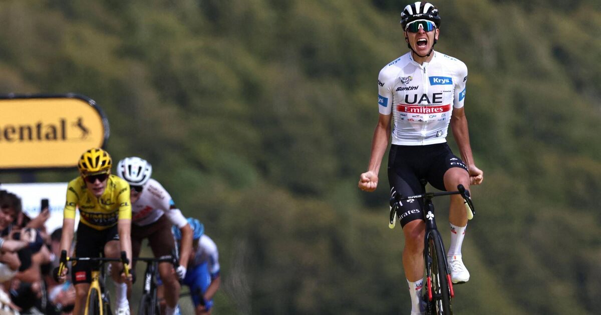 Tadej Pogacar wins final mountain stage of Tour de France