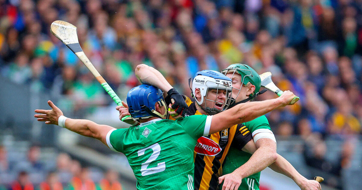Gearóid Hegarty misses out but 14 All-Star nominations for Limerick