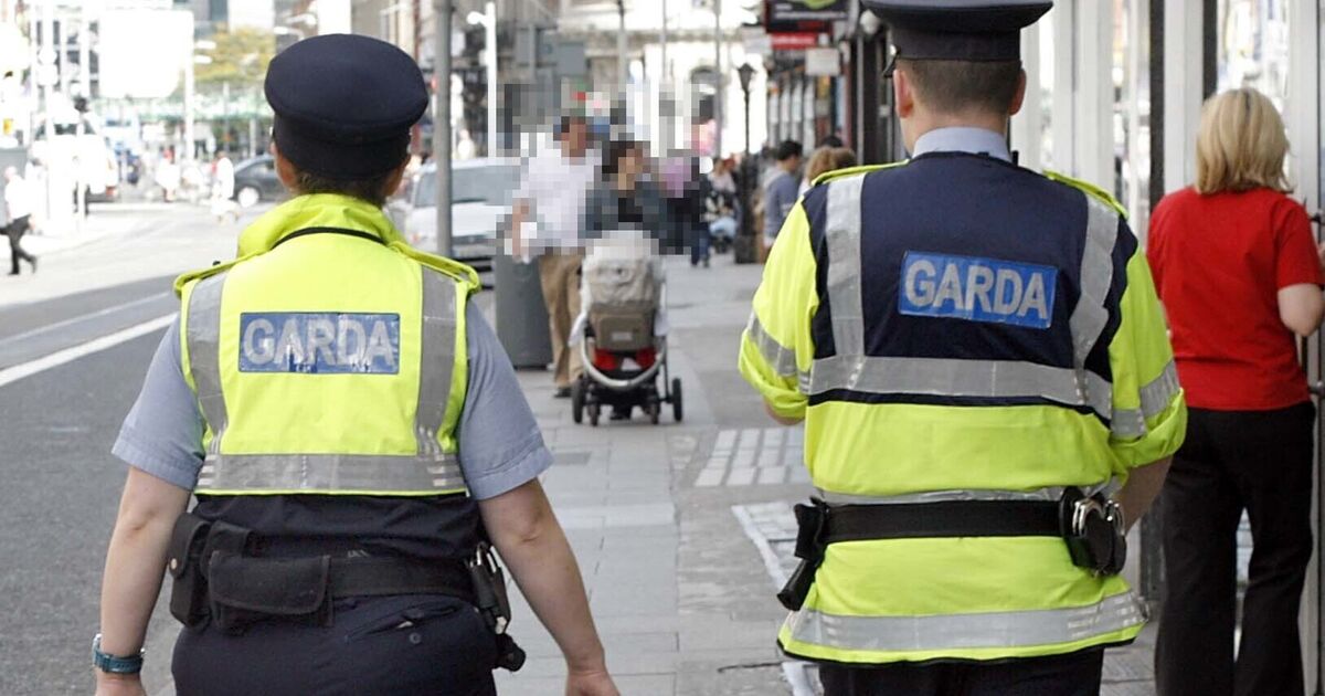 Why the call for more gardaí won't solve problems of violence and anti ...