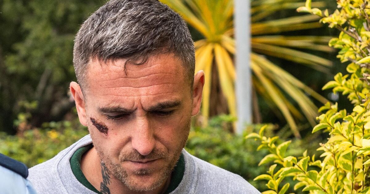 State appeals 'undue leniency' of Ian Horgan's sentence for hammer ...