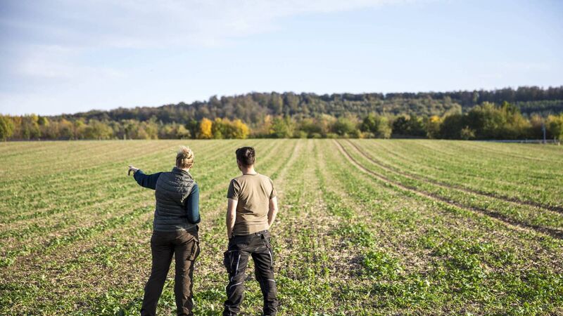 Four-week extension for submitting ACRES scorecards