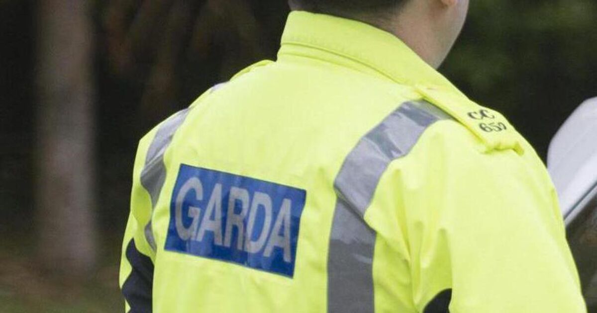 Gardaí to increase use of search powers under new policing plan for Dublin