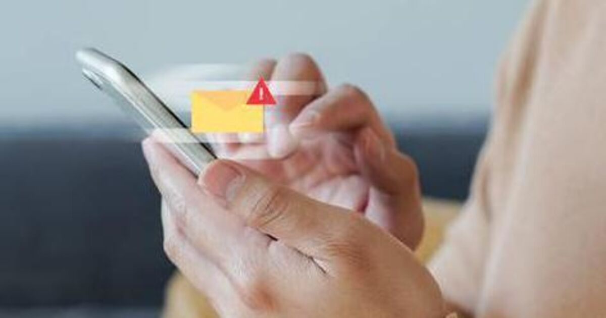 Scam texts and calls costing mobile phone customers €300m a year ...