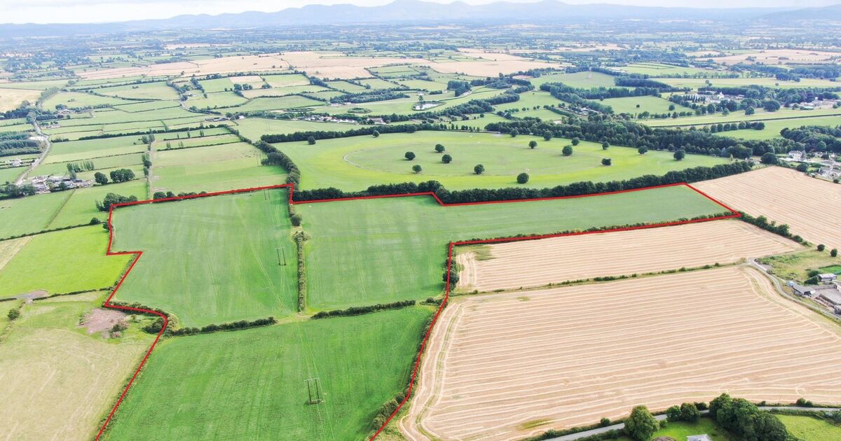 Over €20k an acre expected for 50-acre South Tipp holding