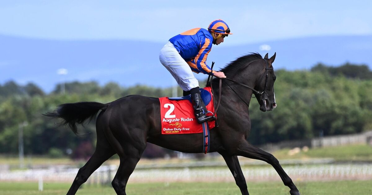 O'Brien remains mystified by Auguste Rodin's King George flop