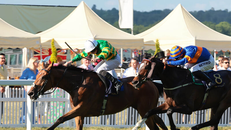 Galway day five tips: Dawn Rising can defy top weight at Galway