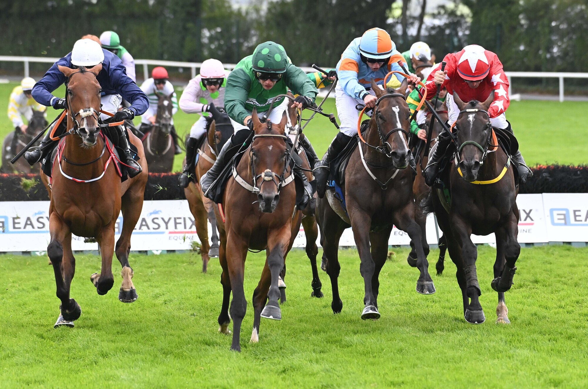 Zarak The Brave lives up to his name in Galway Hurdle