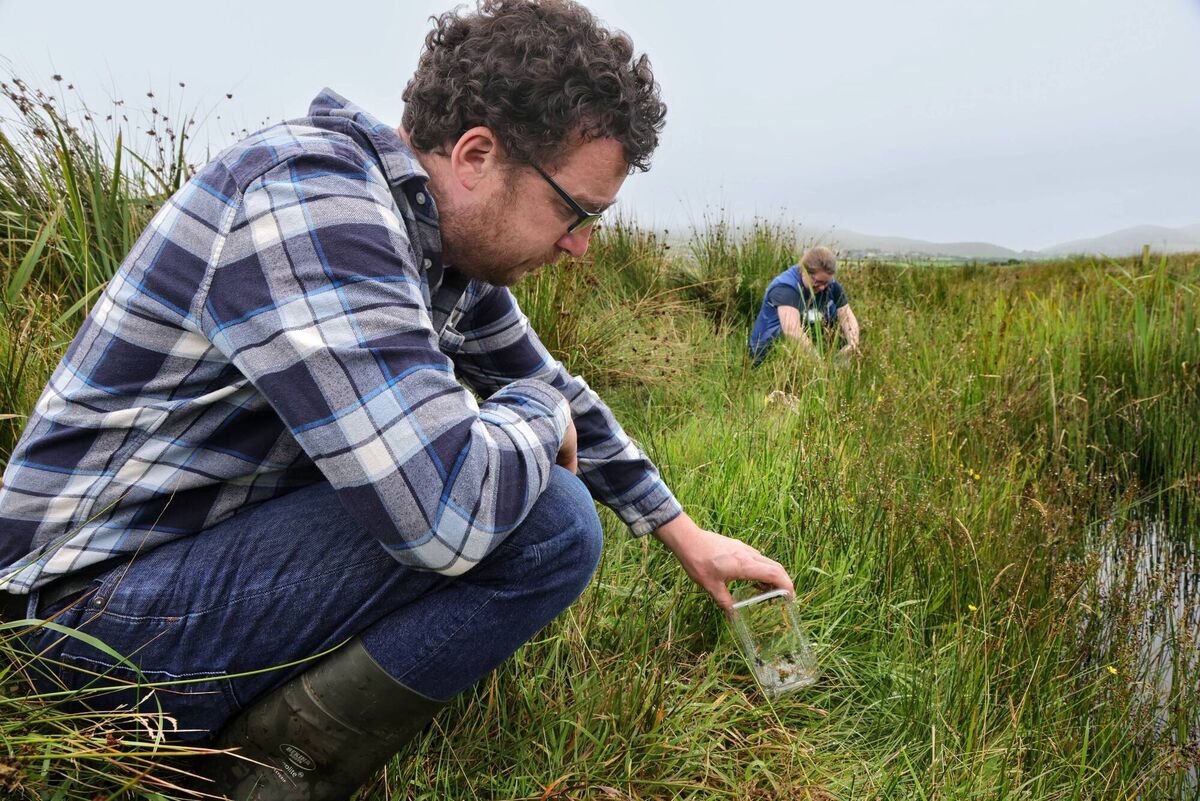 Wet spring and warm June may have benefited Ireland's 'boom-or-bust ...