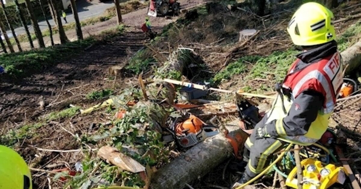 Forestry worker suffers crush injuries after incident in Cork