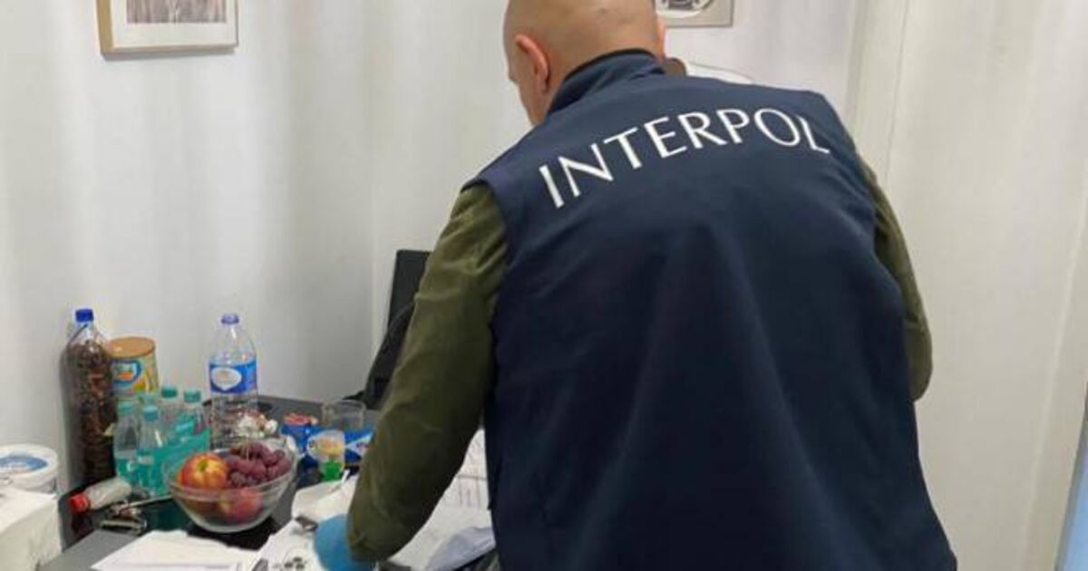 34 arrested in Ireland as part of Interpol operation targeting West ...