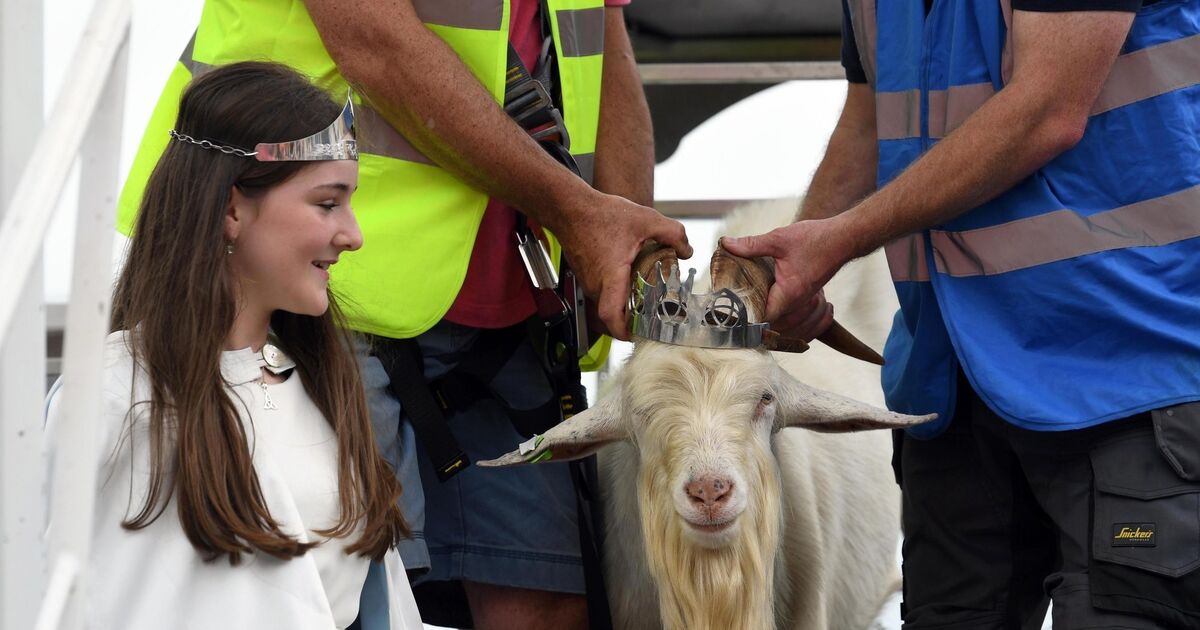 Centuries-old tradition continues at Puck Fair despite recent controversy