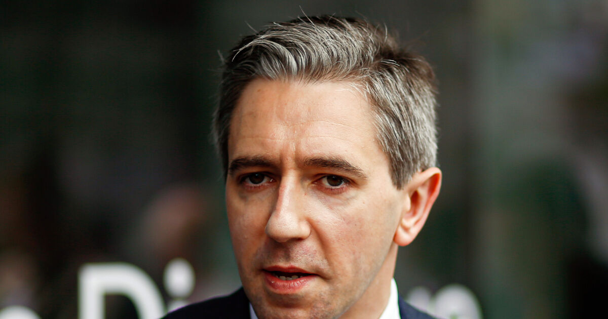 Thuggery on Dublin streets will not be tolerated, Simon Harris says in ...