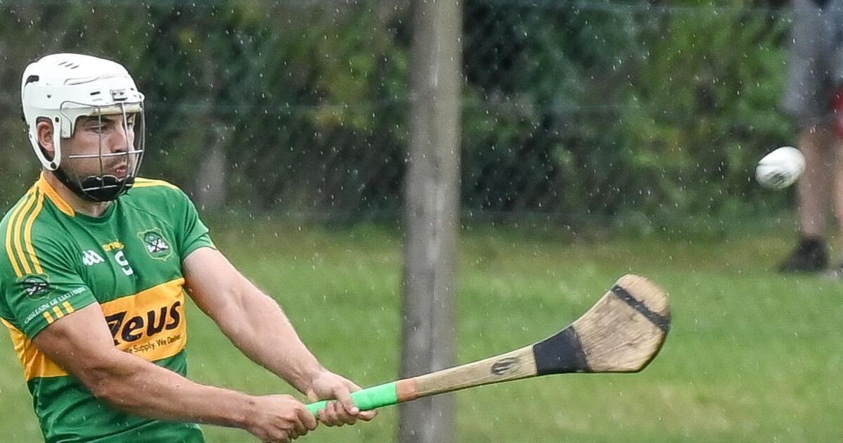 Cork PIHC: Alan Fenton field day helps Castlelyons past Dungourney