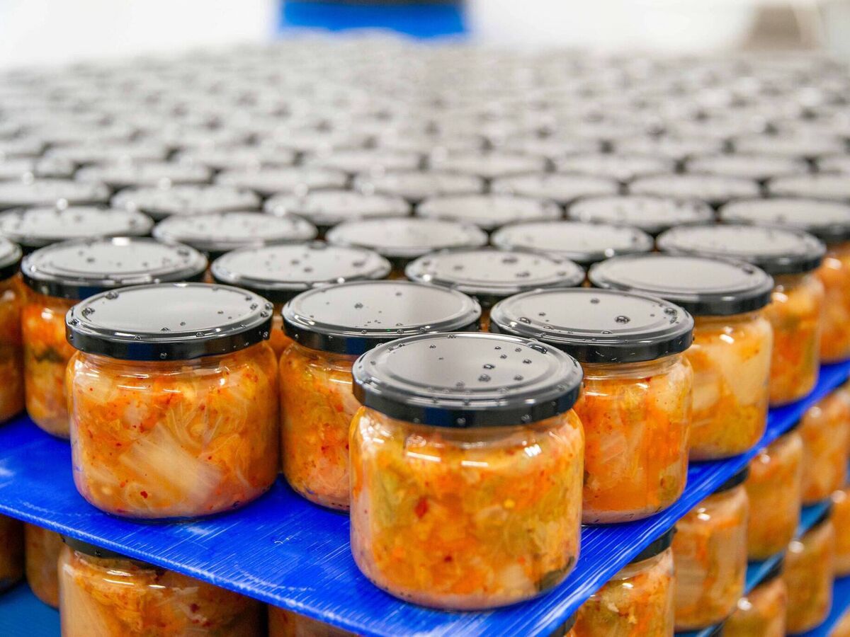 Fermented Foods