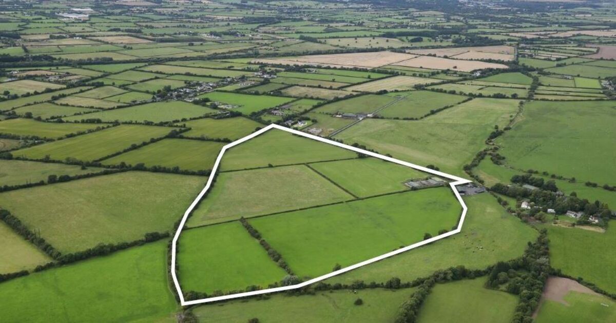 63-acre Meath farm expecting €14k/acre at auction