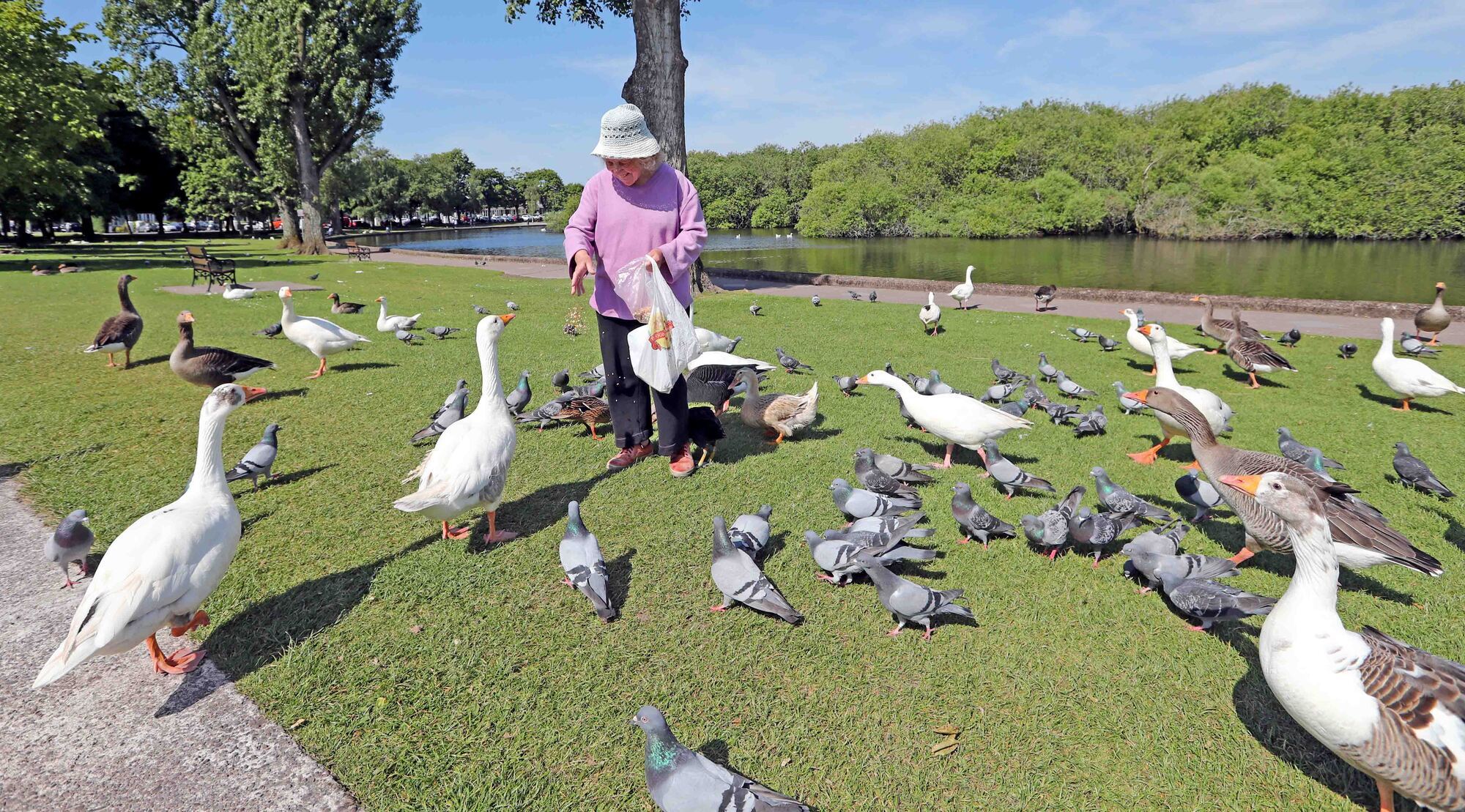 Lasting tribute erected to Cork's 'Lady of the Lough'