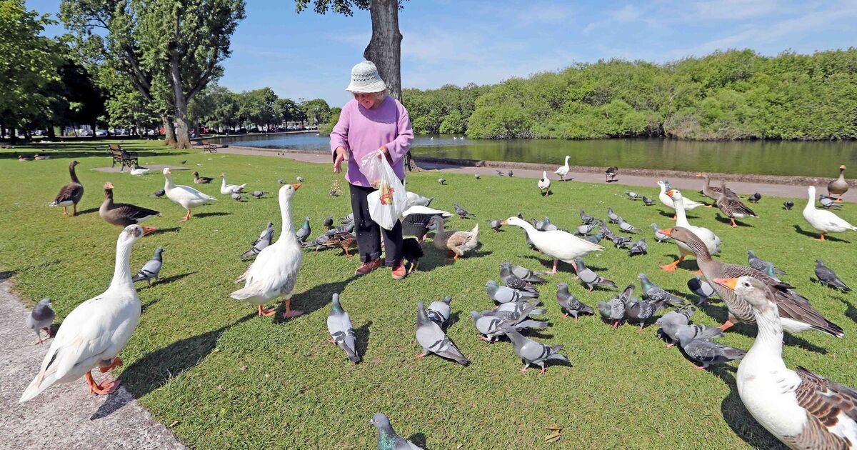 Lasting tribute erected to Cork's 'Lady of the Lough'