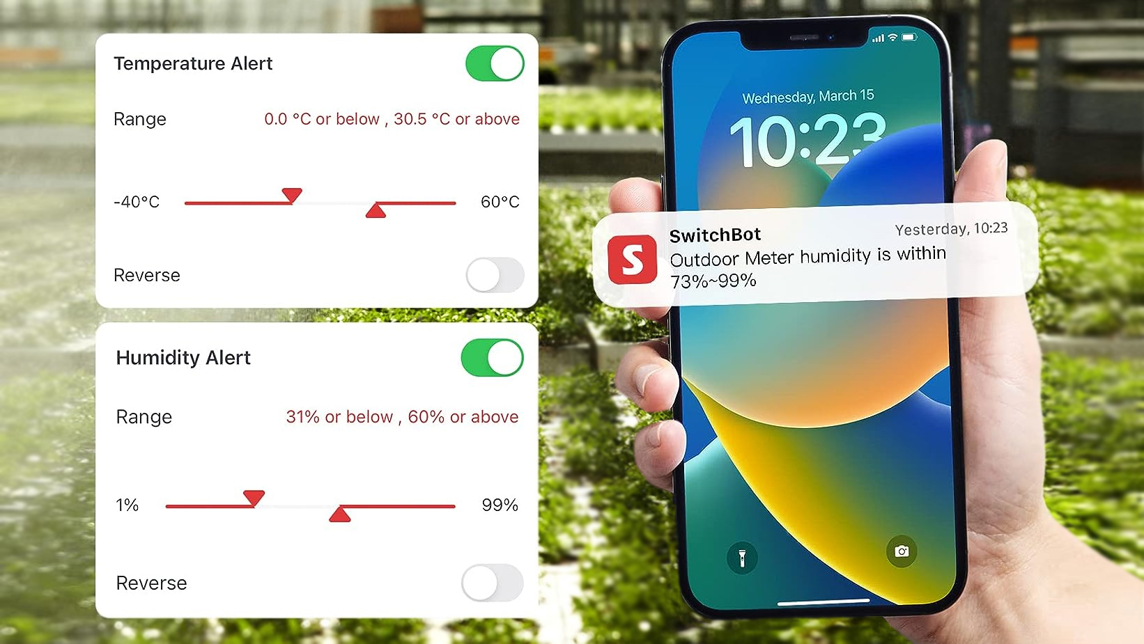 SwitchBot: Innovative hygrometer and thermometer for accurate ...