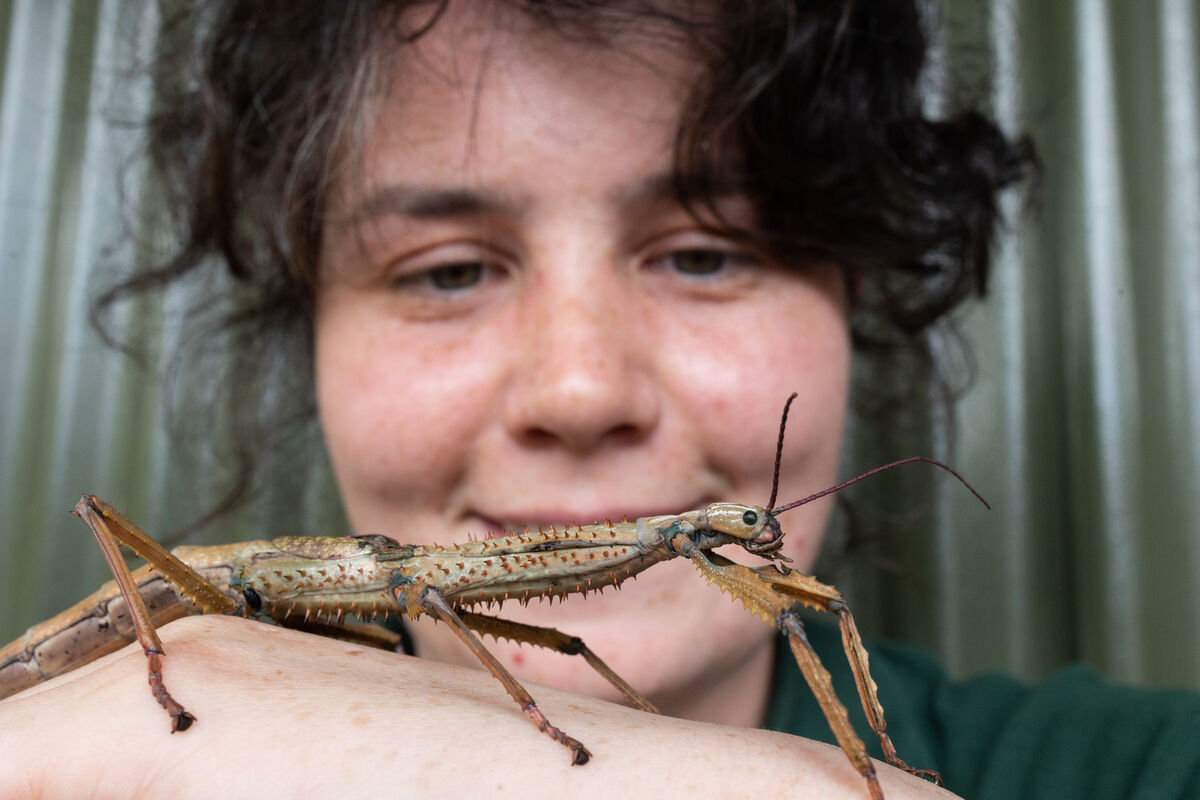 Weekend Loves: Culture Night, creepy-crawlies and culinary adventures