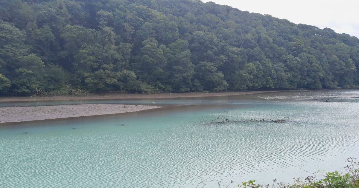 Just half of rivers and lakes in good condition