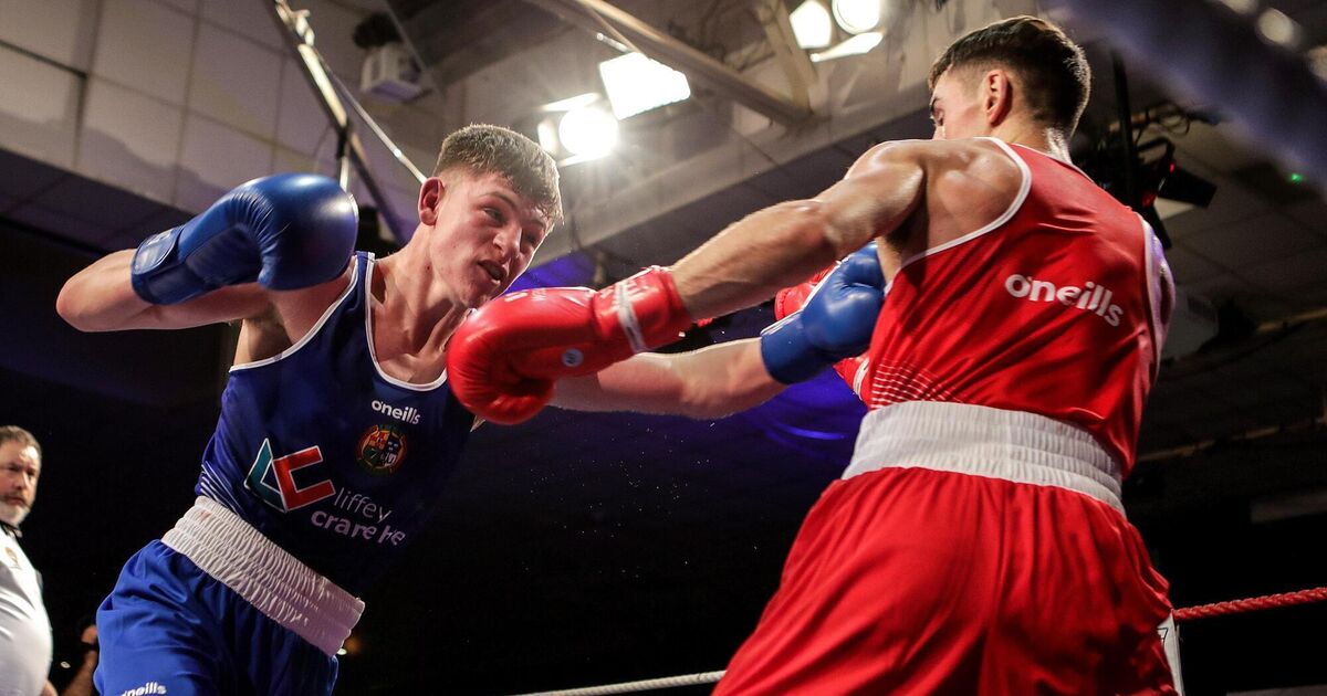 Cork fighter Callum Walsh says boxers are too afraid of losing now