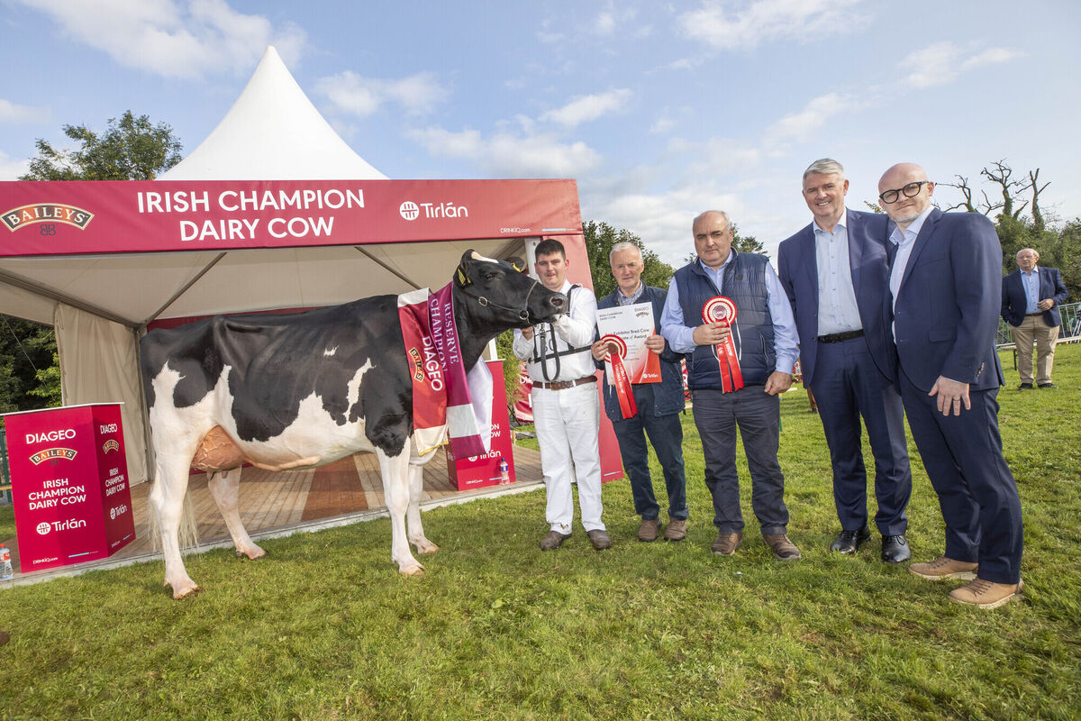 Baileys Cow title for 2023 goes to Armagh